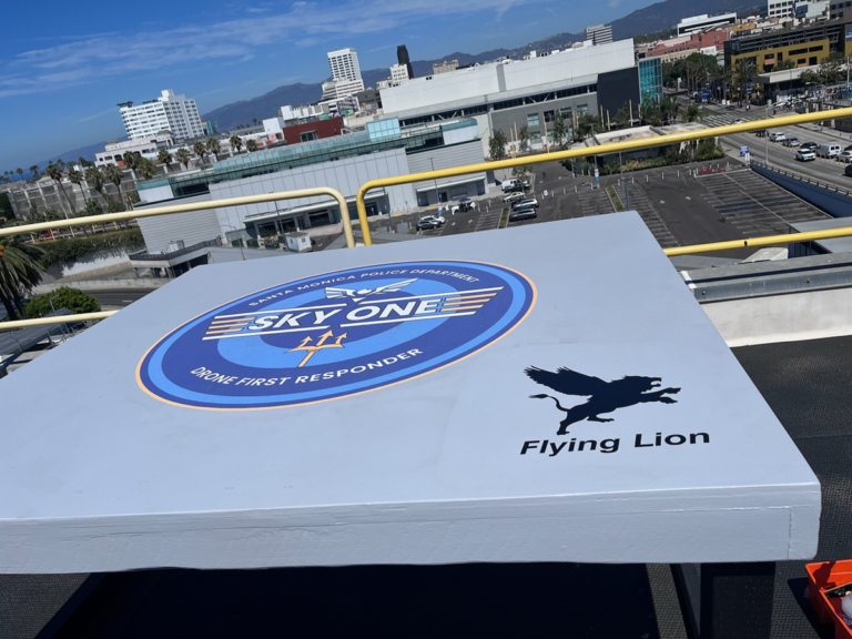 Company Overview – Flying Lion