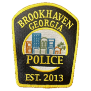 Flying Lion – DFR & Drone Services for Public Safety