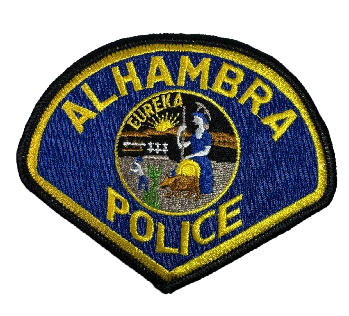 Flying Lion – DFR & Drone Services for Public Safety